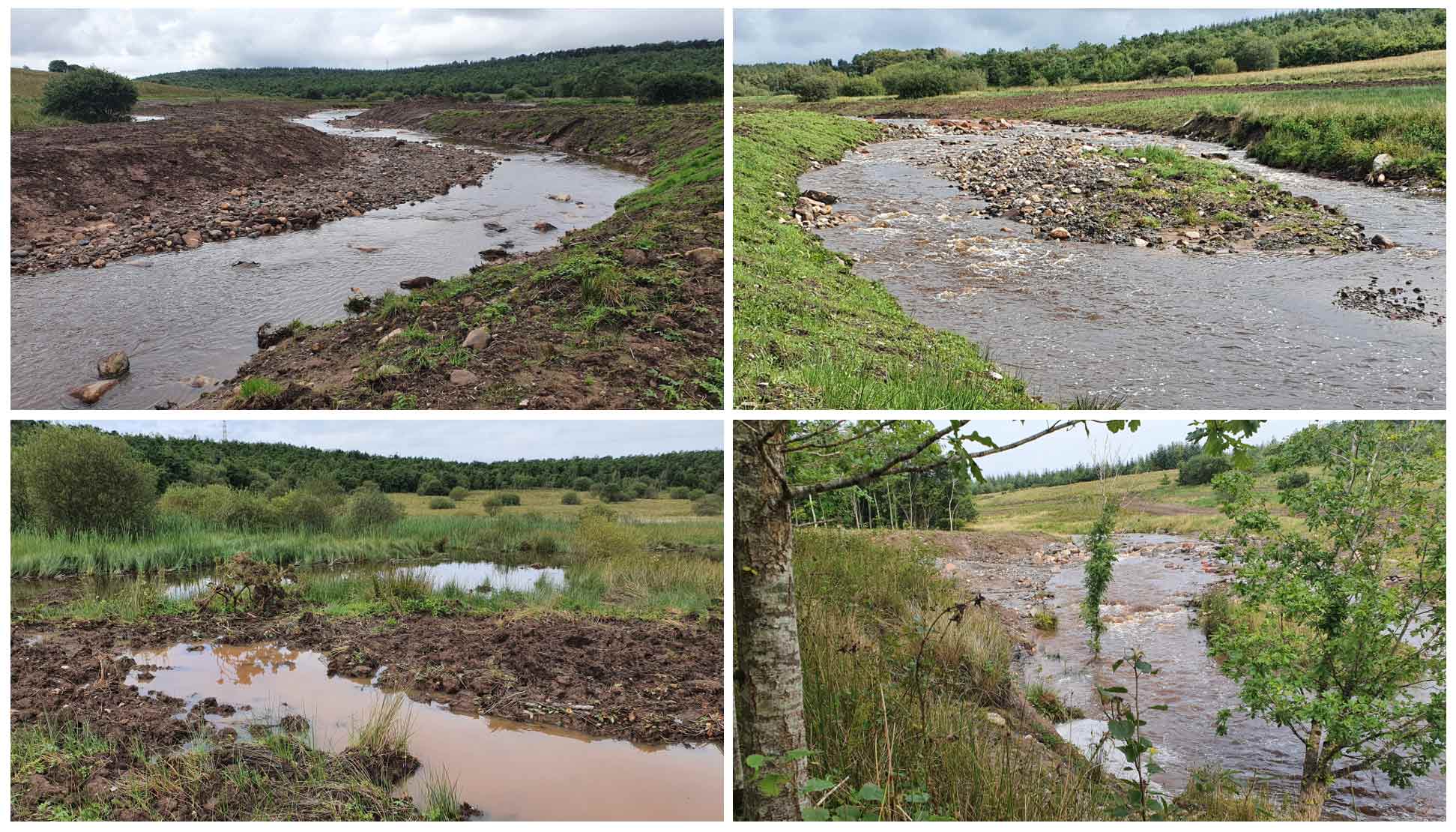 The Conversation: How restoring river catchments can minimise drought ...